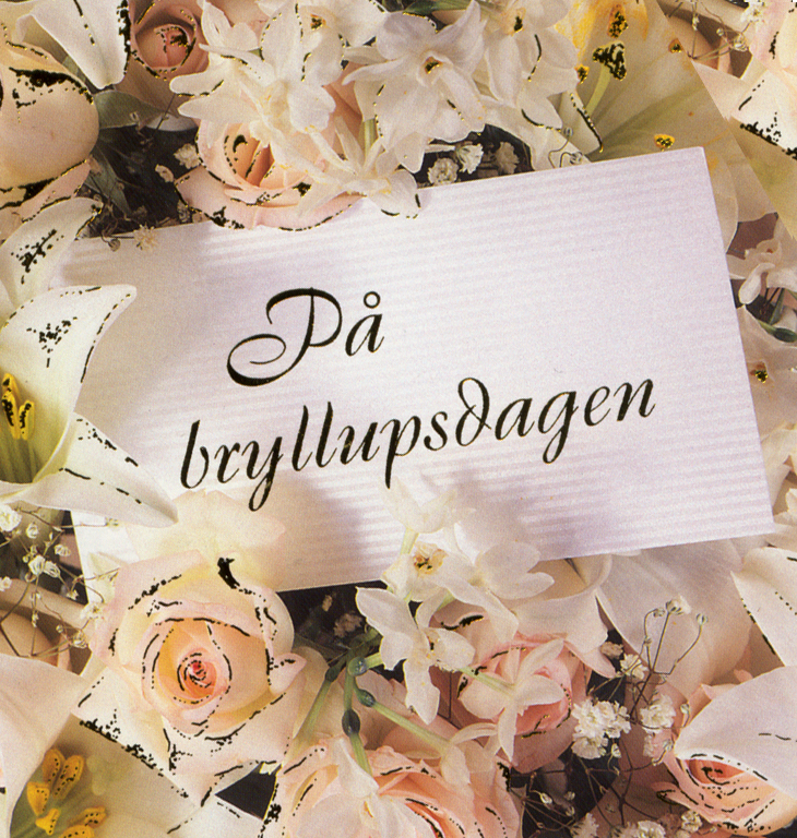 Bryllupsdage - Smykkebutikken